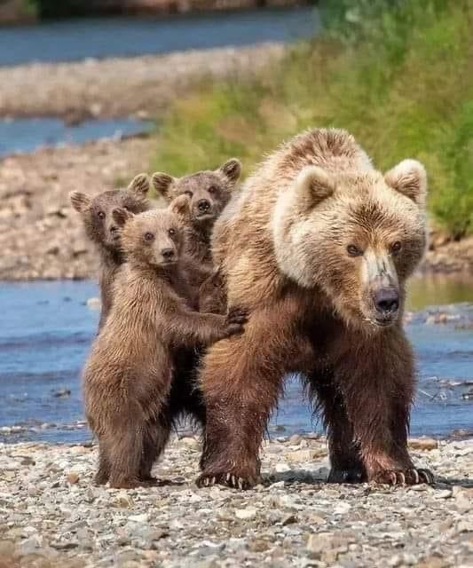 Novelworm - Read Novels Online Free - Free Novels Online